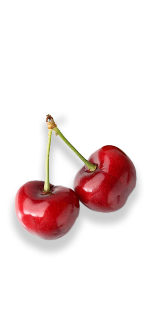 Ficha Técnica - Vivero Santa Yolanda