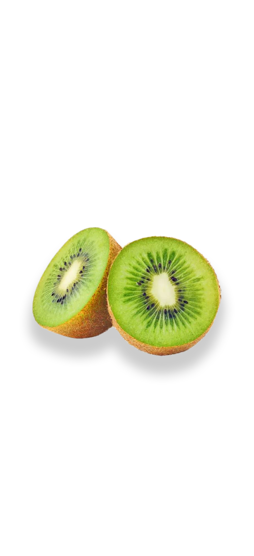 Vivero Santa Yolanda